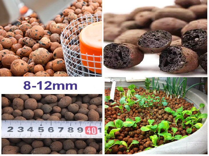 Hydroponic Clay Pebble Hydroton Hydroponics, Aquaponics & Gardening-650 gm